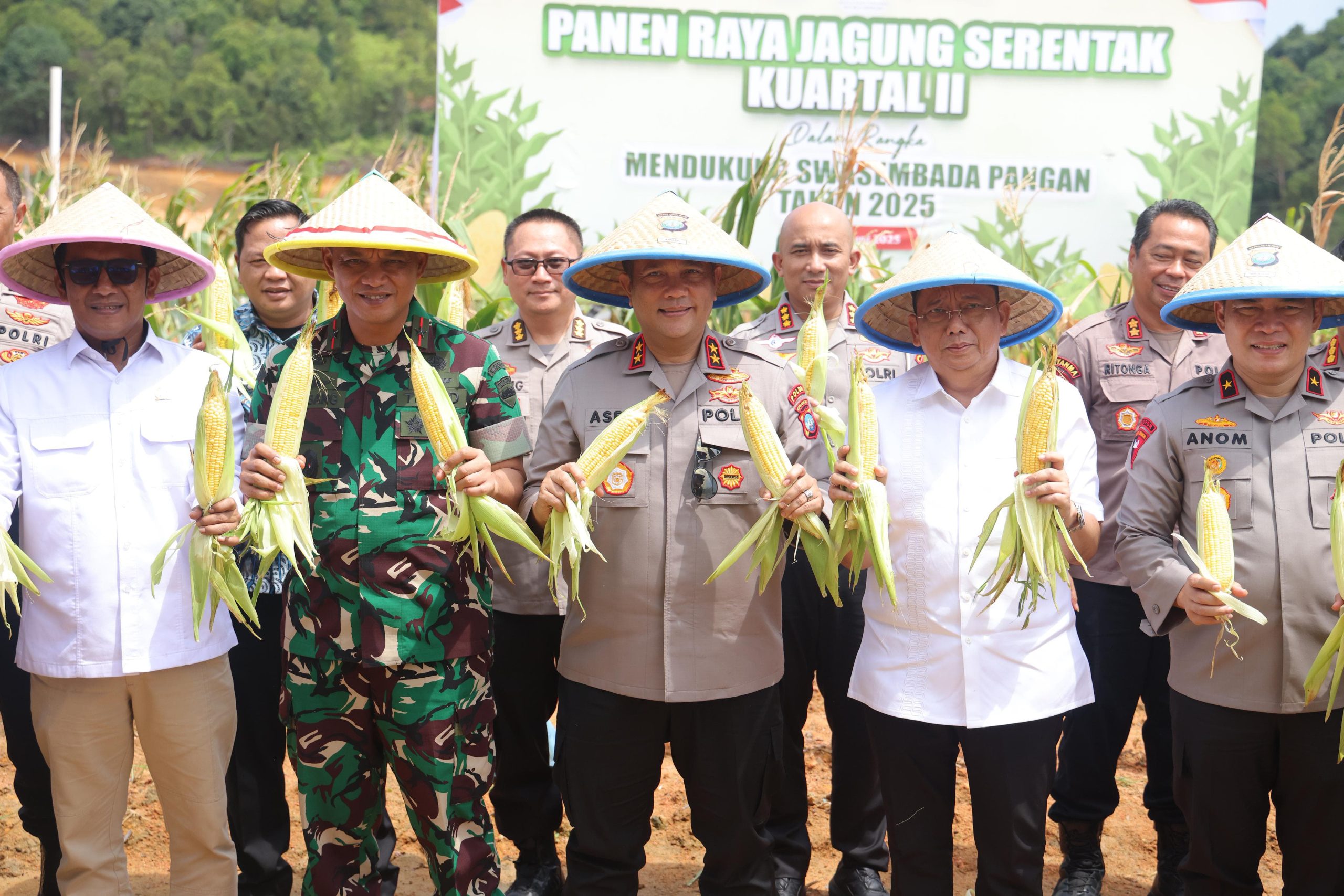 Dukung Ketahanan Pangan, Polda Kepri Panen Raya Jagung Kuartal II 2025